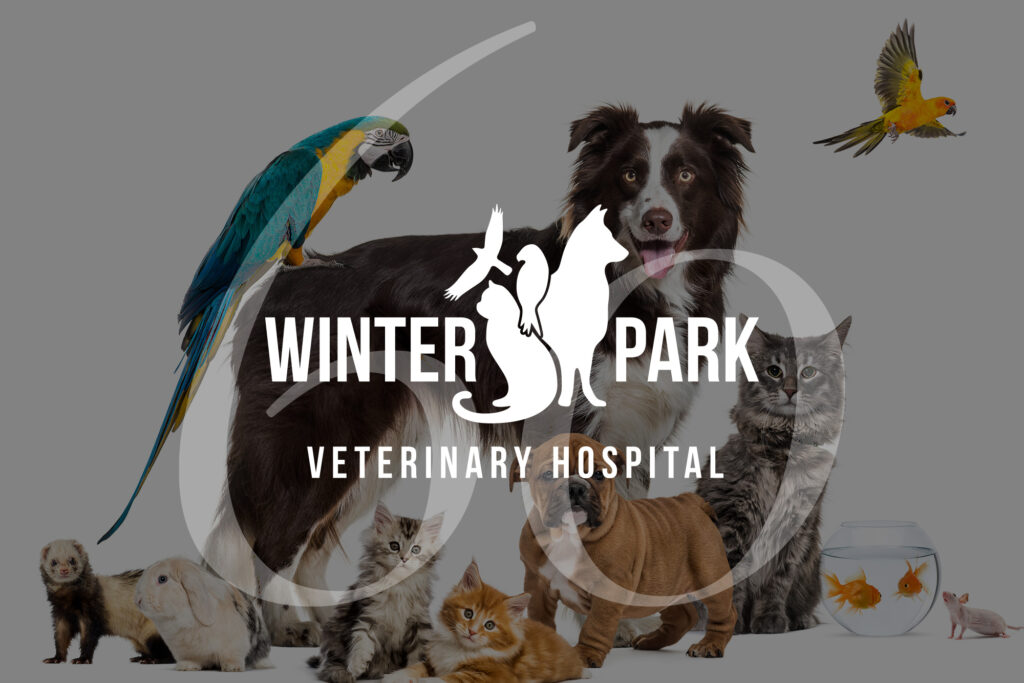 60 Years of Service | Winter Park Veterinary Hospital