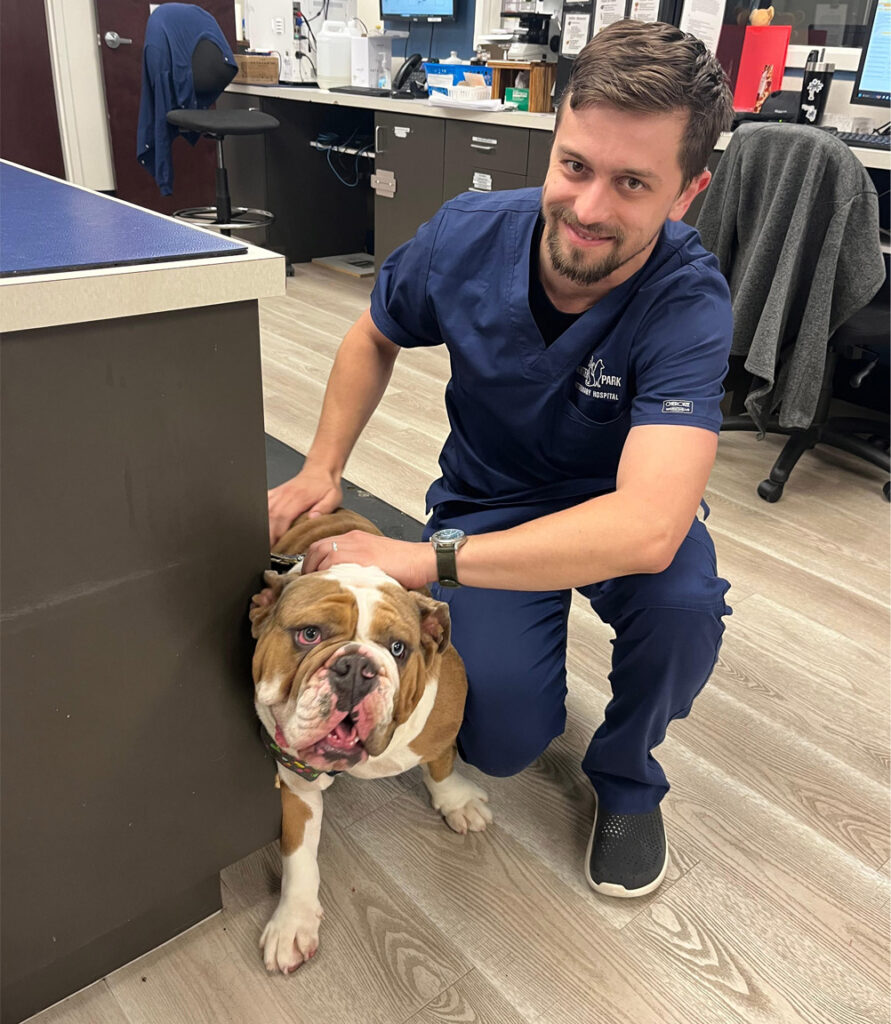 Summer Updates | Winter Park Veterinary Hospital | Vet in 32789