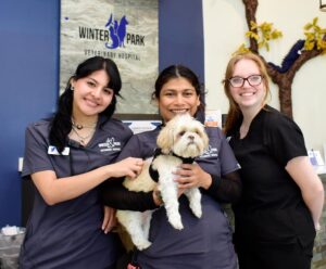 Contact Us | Winter Park Veterinary Hospital | Vet in Winter Park, FL